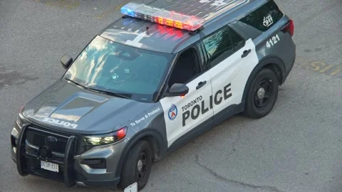 C\Service Stock Videos – Royalty-Free HD & 4K Videos