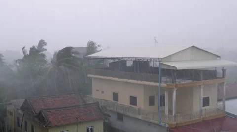 torrential rain, high winds blowing coc... | Stock Video | Pond5