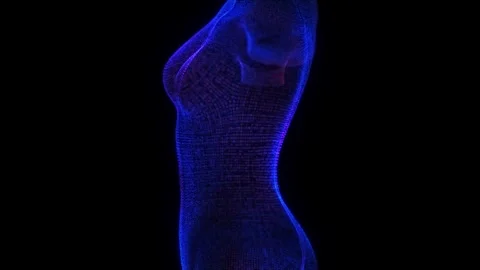 Female Torso Model Stock Videos – Royalty-Free HD & 4K Videos | Pond5