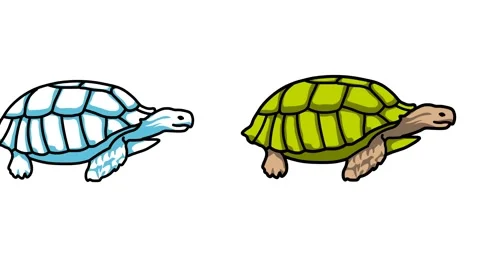 Tortoise Animation Stock Footage ~ Royalty Free Stock Videos | Pond5