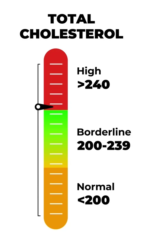 Normal Total \ Stock Videos – Royalty-Free HD & 4K Videos