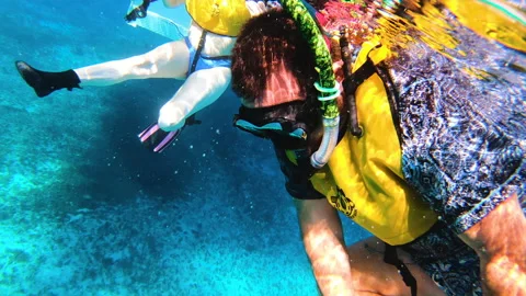Tourist girl removing fin underwater to ... | Stock Video | Pond5