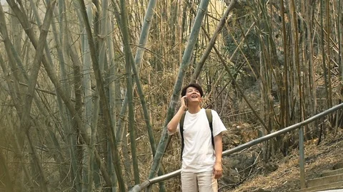 Talking Bamboo Stock Videos – Royalty-Free HD & 4K Videos