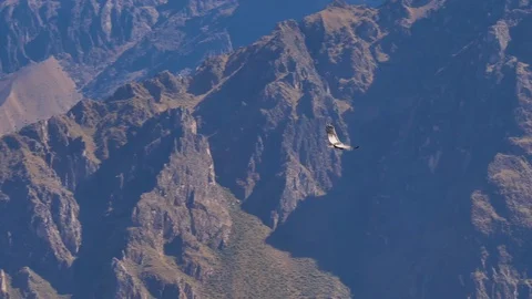 Taking Big D Stock Videos – Royalty-Free HD & 4K Videos