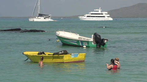 Picture Of Slee Stock Videos – Royalty-Free HD & 4K Videos