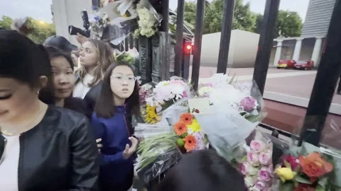 TOURISTS TAKE PHOTOS AT BUCKINGHAM PALAC... | Stock Video | Pond5