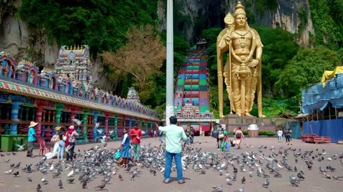 Pictures Of Goald Stock Videos – Royalty-Free HD & 4K Videos | Pond5