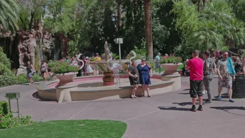 Pictures Of Them Stock Videos – Royalty-Free HD & 4K Videos | Pond5