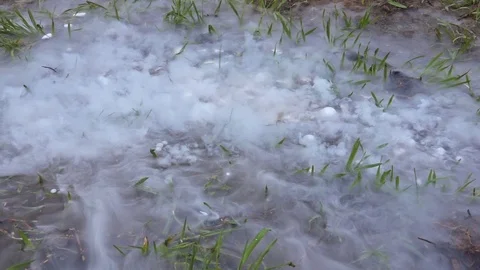 Toxic Water Stock Videos – Royalty-Free HD & 4K Videos