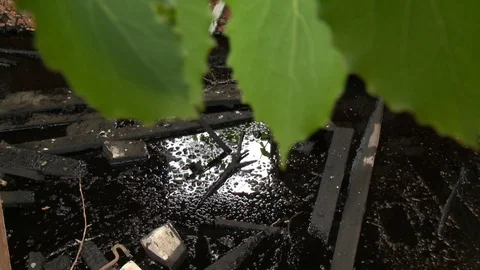 Toxic Products Stock Videos – Royalty-Free HD & 4K Videos