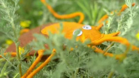 Green Tick Stock Video Footage | Royalty Free Green Tick Videos | Pond5