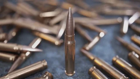 Track-back view at the one standing bull... | Stock Video | Pond5