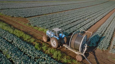 Field Irrigation Stock Video Footage | Royalty Free Field Irrigation ...