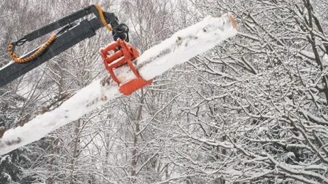A tractor with a crane loads one log int... | Stock Video | Pond5