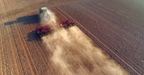 Kicking Rocks Stock Videos – Royalty-Free HD & 4K Videos