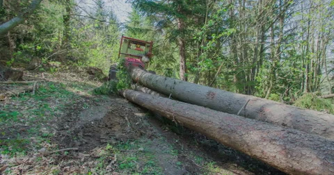 Dragging Behind It Stock Videos – Royalty-Free HD & 4K Videos