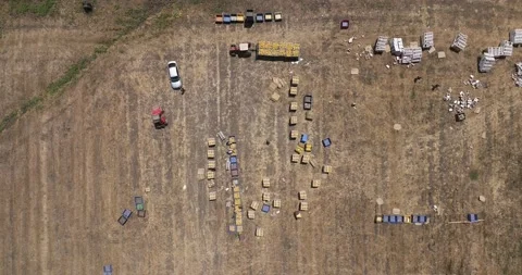 Tractor loaded with pallets of Melons ar... | Stock Video | Pond5