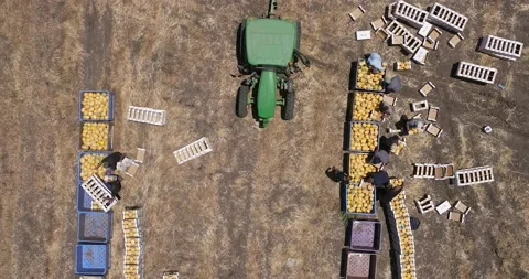 Tractor loaded with pallets of Melons ar... | Stock Video | Pond5