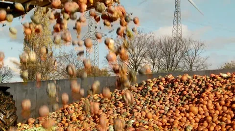 Loadinges Stock Video Footage | Royalty Free Loadinges Videos | Pond5