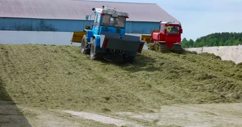 A tractor prepares the feed for the cows... | Stock Video | Pond5