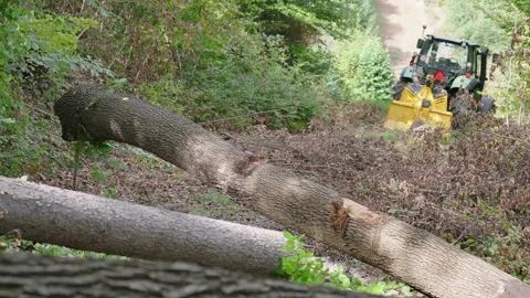 Tractor pull tree log out of the forest ... | Stock Video | Pond5