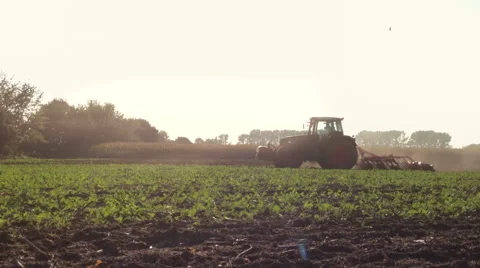 Reaping P Stock Videos – Royalty-Free HD & 4K Videos | Page 2