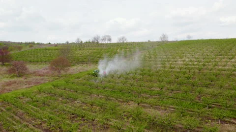 Tractor spraying insecticide or fungicid... | Stock Video | Pond5