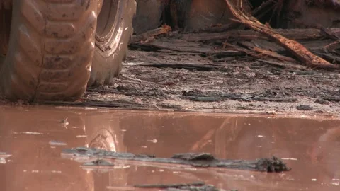 Hot Mud Amazon Stock Videos – Royalty-Free HD & 4K Videos