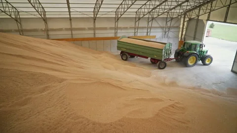 Tractor unloading wheat inside grain st... | Stock Video | Pond5