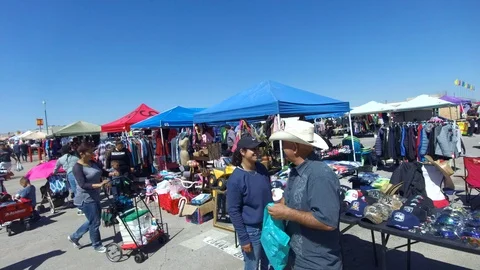 Flea Market Labubu Stock Video Footage | Royalty Free Flea Market ...