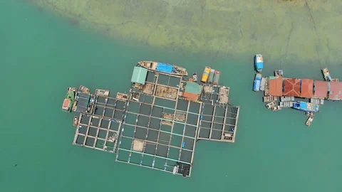 The traditional Cua Van Floating Village | Stock Video | Pond5