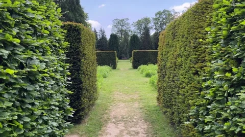 Well Trimmed Bush Stock Videos – Royalty-Free HD & 4K Videos