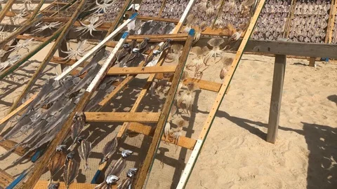 Traditional fish-drying on the beach of ... | Stock Video | Pond5