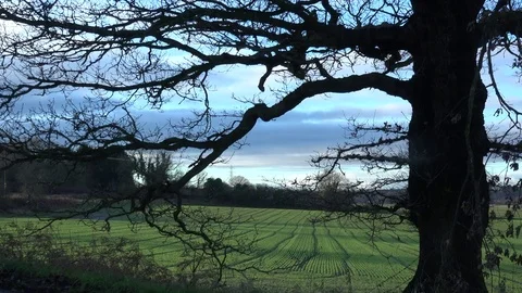 Traditional scene in England with farm f... | Stock Video | Pond5