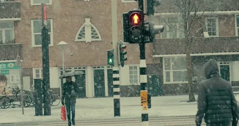 Traffic Light Snow Stock Video Footage | Royalty Free Traffic Light ...