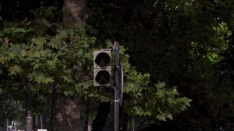 Traffic light with a pedestrian symbol i... | Stock Video | Pond5