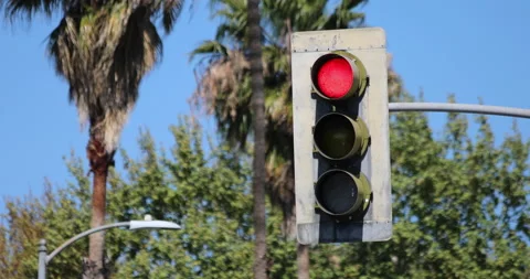Traffic Signal With Palm Trees | Stock Video | Pond5