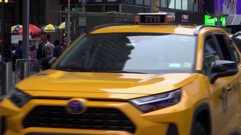 'Tragedy,' 'idiots,' 'sad' - New York mo... | Stock Video | Pond5