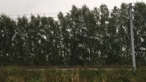 Train Passing By Next to Forest, Tram Su... | Stock Video | Pond5