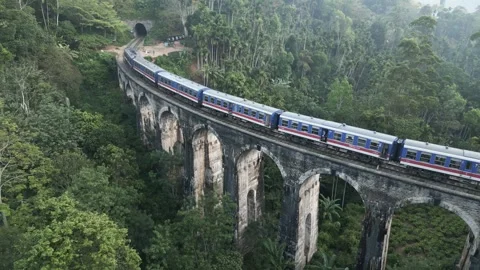 Train passing over Nine Arch bridge in S... | Stock Video | Pond5