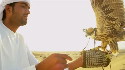Trained Saker Falcon Balanced Arabic Mal... | Stock Video | Pond5