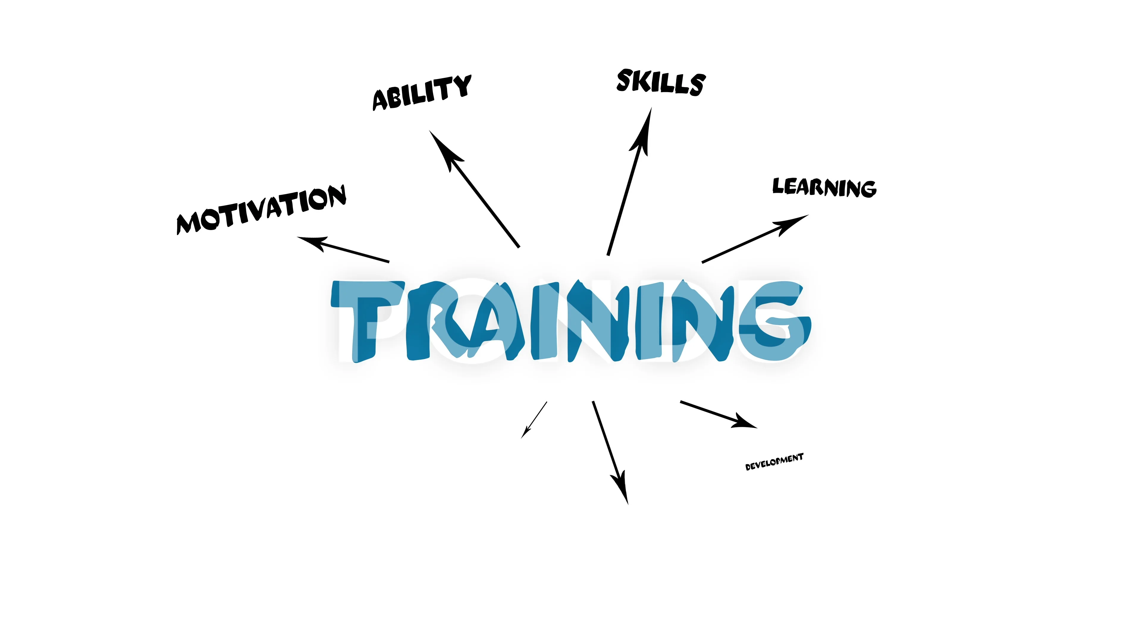 Skills Development Training