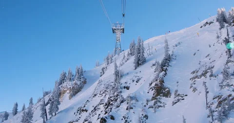 Snowbird Stock Videos – Royalty-Free HD & 4K Videos