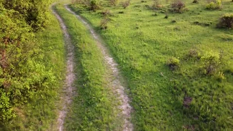 Trample Path Stock Videos – Royalty-Free HD & 4K Videos