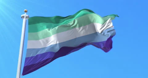 Trans-inclusive Gay Men's Flag Waving. L... | Stock Video | Pond5