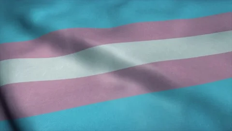 Trans Flag Stock Video Footage | Royalty Free Trans Flag Videos | Pond5