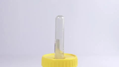 Urine Lab Testing Stock Videos – Royalty-Free HD & 4K Videos