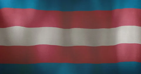 transgender flag fabric texture waving i... | Stock Video | Pond5