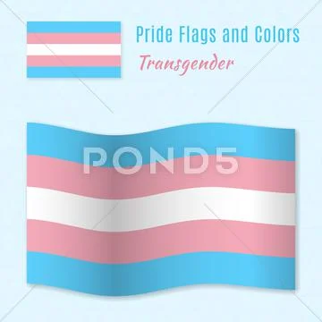 Transgender pride flag with correct color scheme: Royalty Free #55789798
