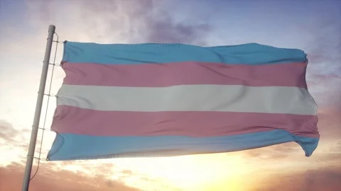 Transgender pride flag waving in the win... | Stock Video | Pond5
